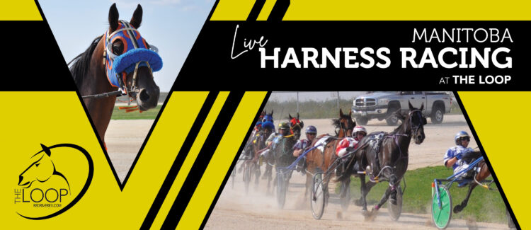 Manitoba Harness Racing at The LOOP - Exhibition Park
