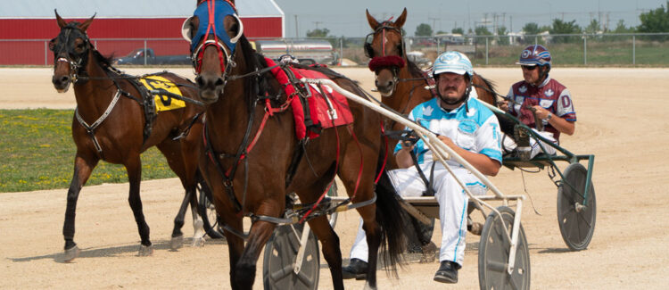 Manitoba Harness Racing at The Loop - Exhibition Park